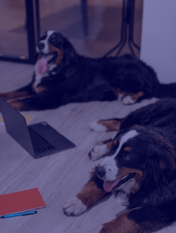 What is Continuous Development?